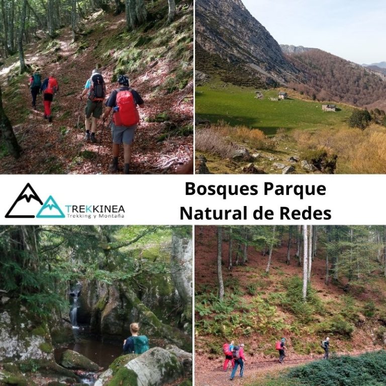 Bosques en el Parque Natural de Redes - Trekkinea Viajes con Guías de ...
