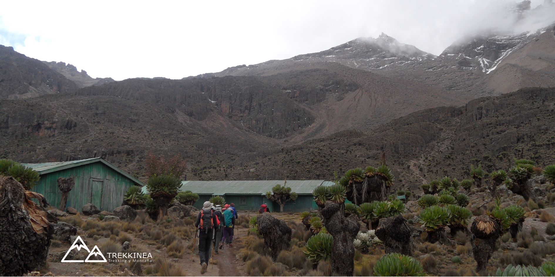 Ascenso al Monte Kenia y Kilimanjaro (I) - Trekkinea Viajes con Guías ...